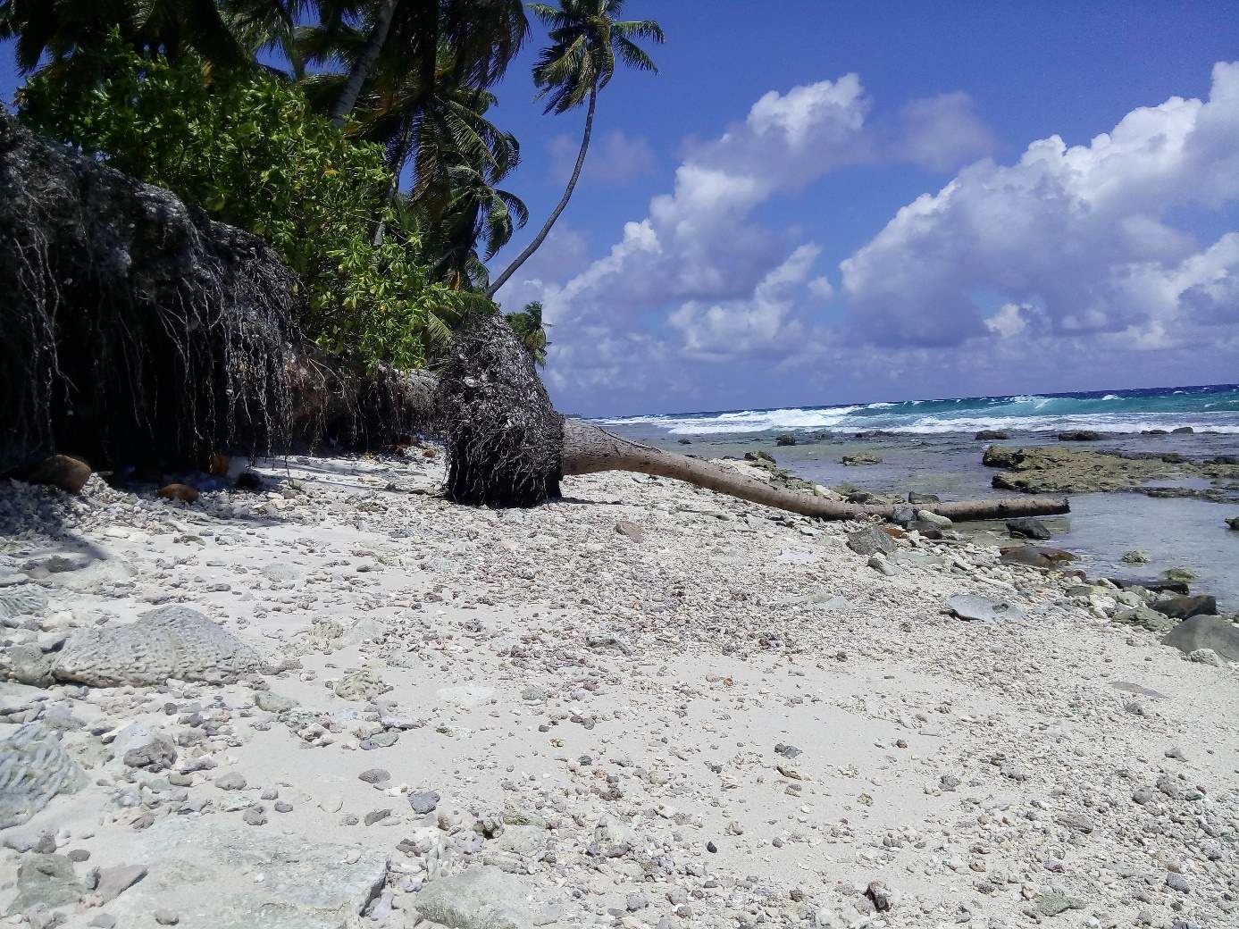 Infrastructure design | Coastal hydrodynamics, morphology & water quality